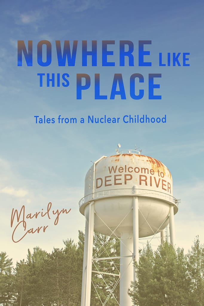 Nowhere like This Place - Iguana Books